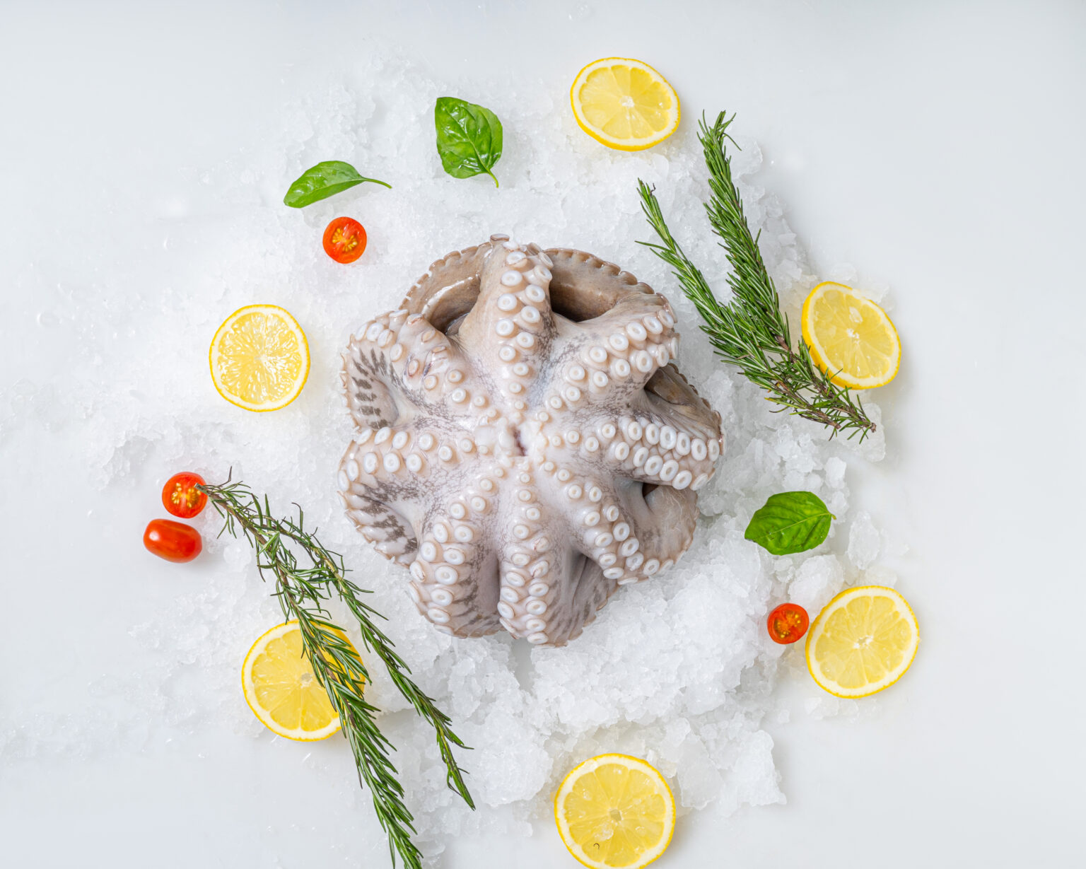 PT. Sukses Lautan Indonesia